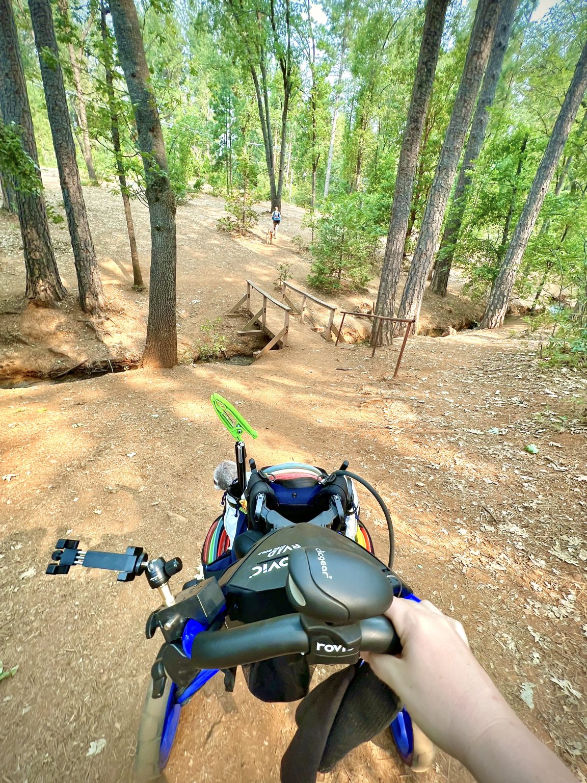 Rovic RV1D disc golf cart review - Sacramento Disc Golf